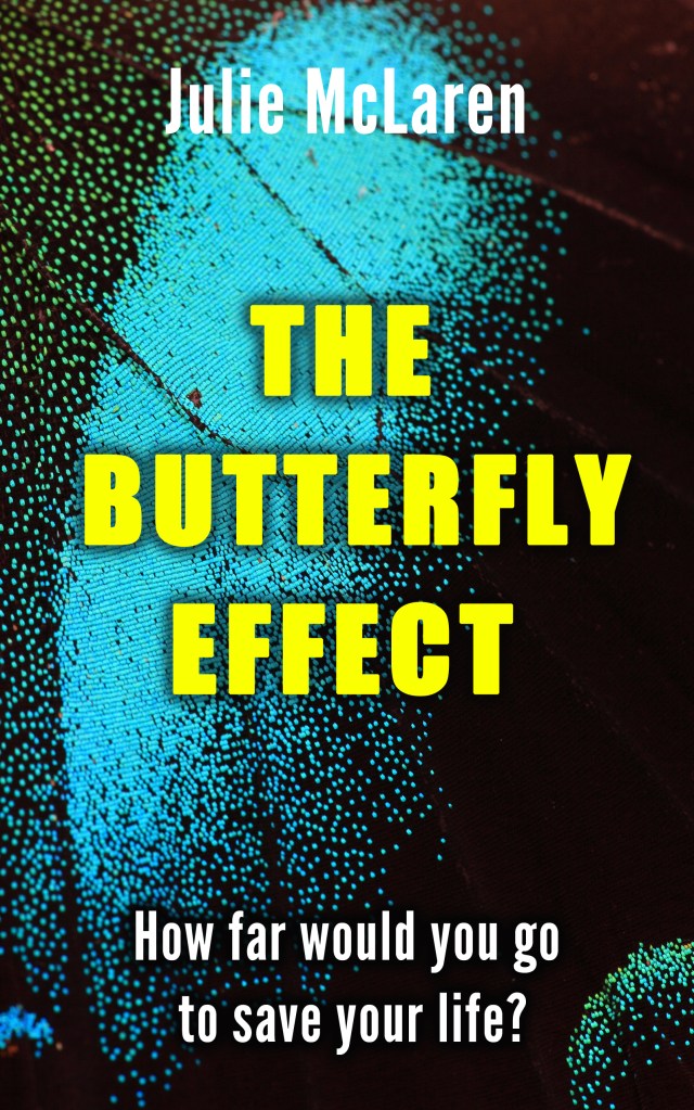 The Butterfly Effect – julie mclaren